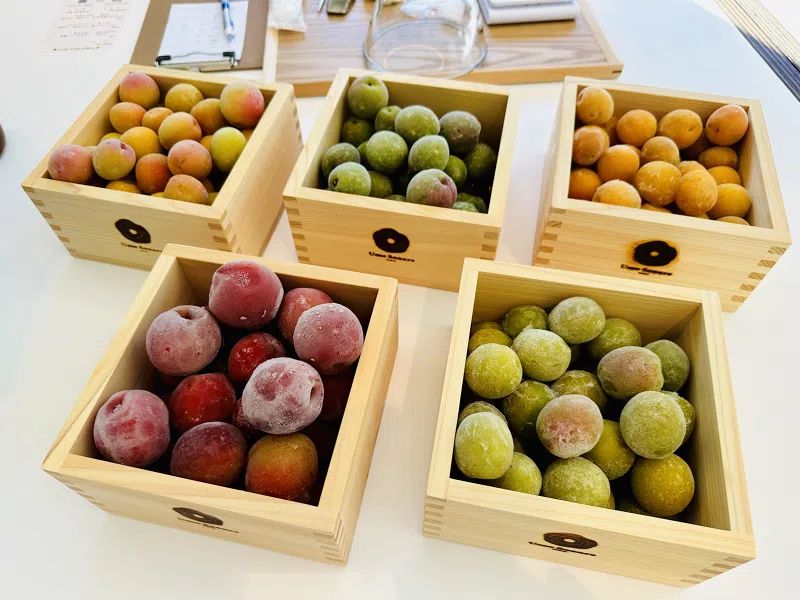 Ume Sonare oarai | 【公式】大洗観光協会