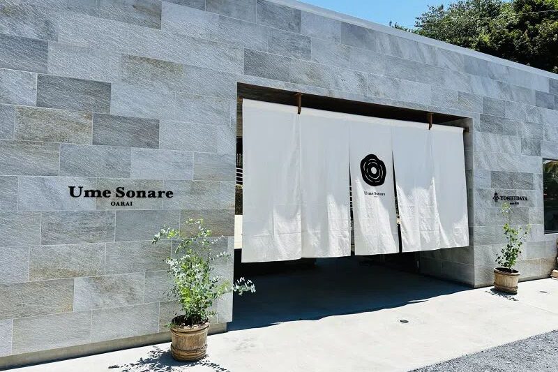 Ume Sonare oarai | 【公式】大洗観光協会